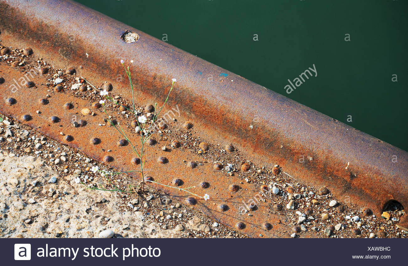 Metal Rivet Bridge High Resolution Stock Photography and Images - Alamy