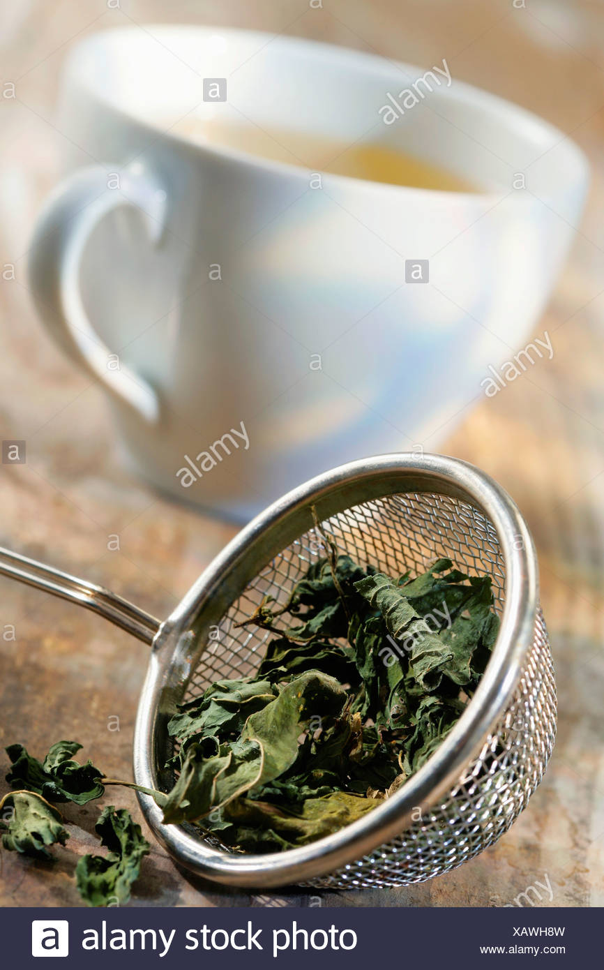 Loose Leaf High Resolution Stock Photography and Images - Alamy