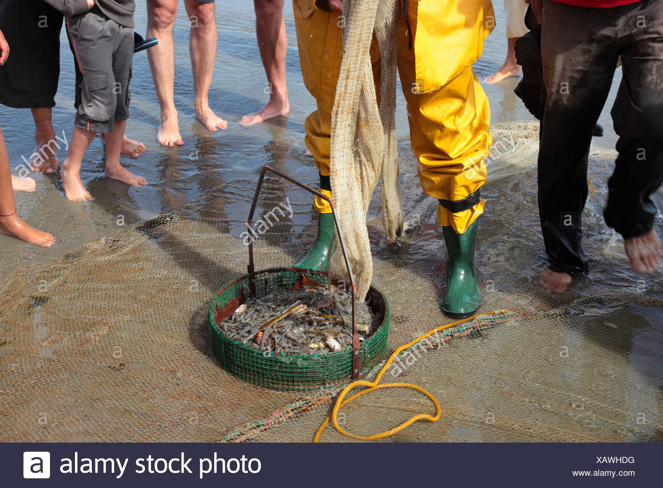 Catch Shrimp High Resolution Stock Photography and Images - Alamy