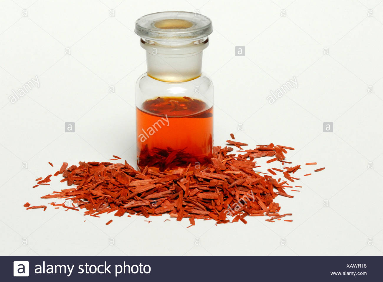 Santal Stock Photos & Santal Stock Images - Alamy