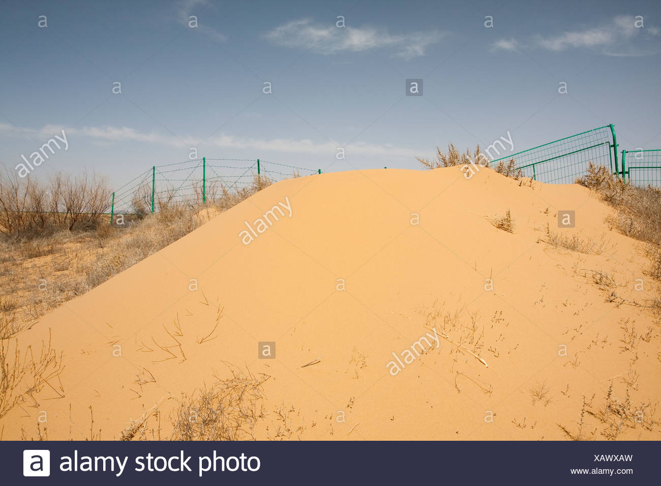 Creeping Desert High Resolution Stock Photography and Images - Alamy