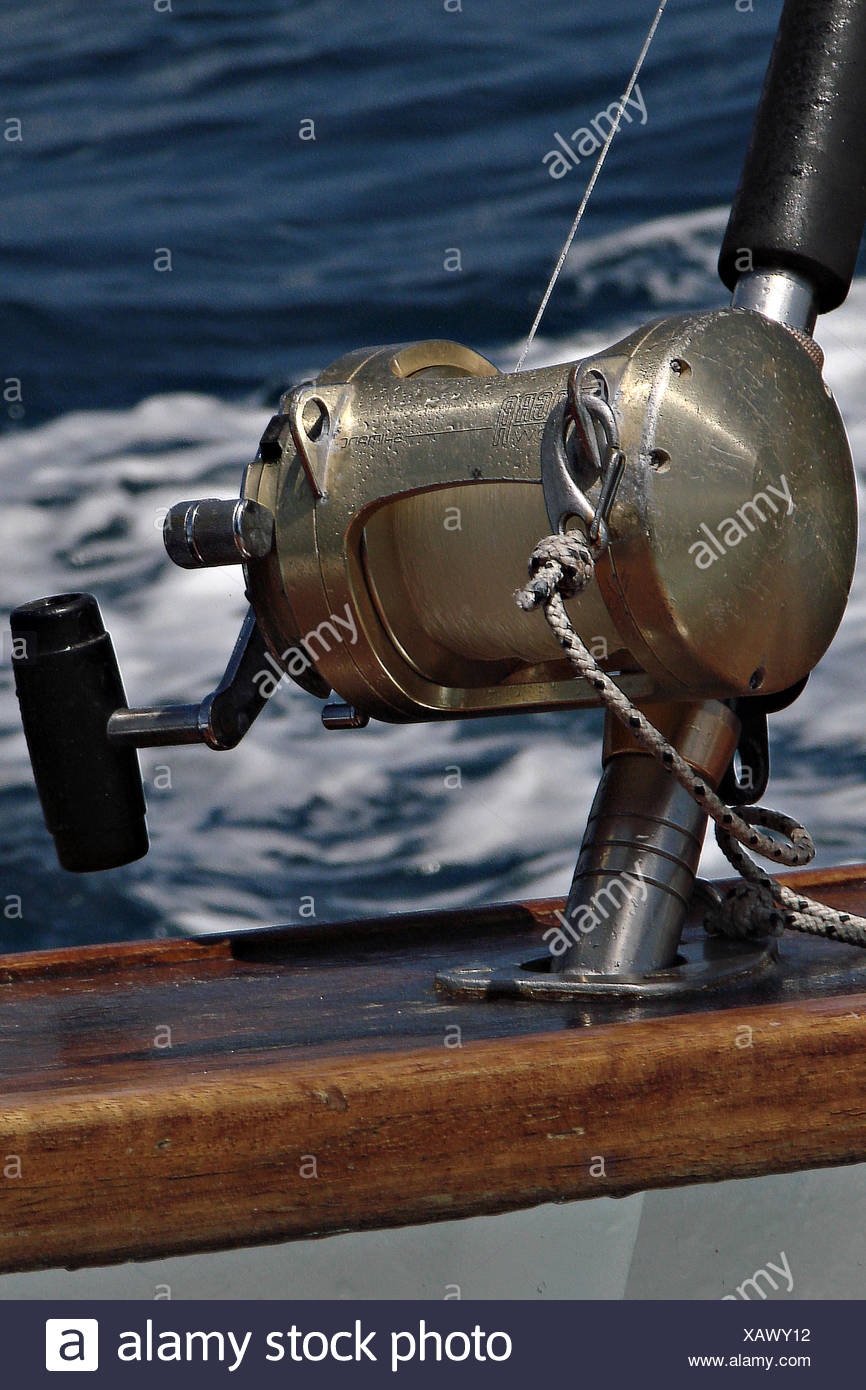 Hinge Fish High Resolution Stock Photography and Images - Alamy