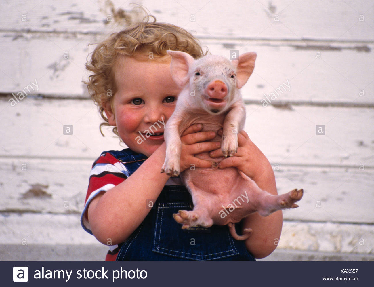 Boy Holding Pig High Resolution Stock Photography and Images - Alamy