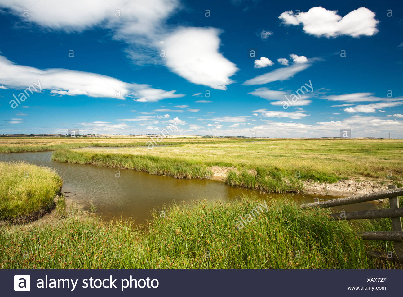 Kent Marshes High Resolution Stock Photography and Images - Alamy