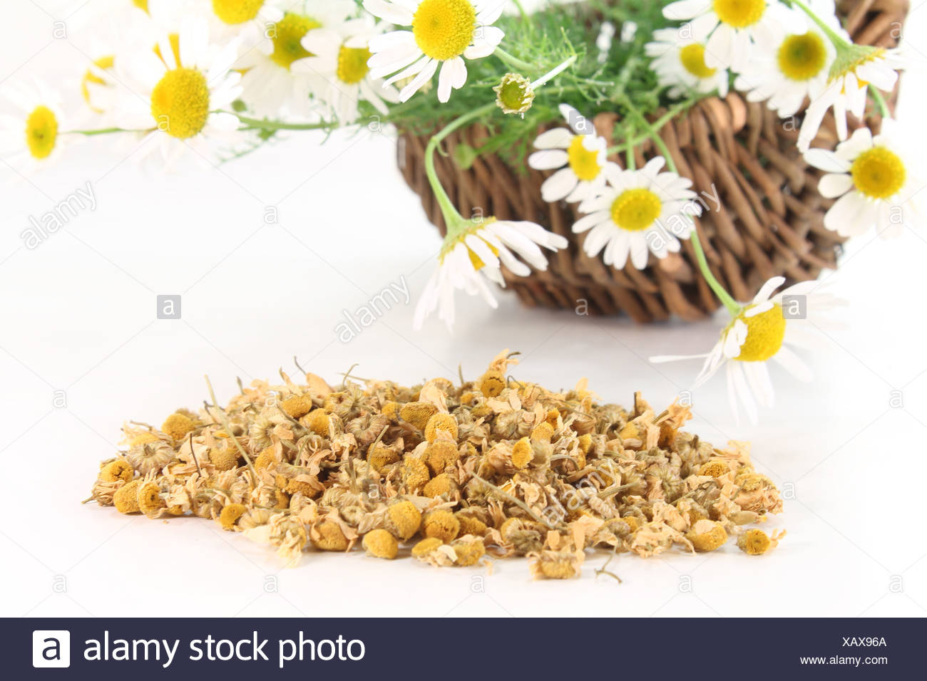 Kamillenbluten Tee High Resolution Stock Photography and Images - Alamy