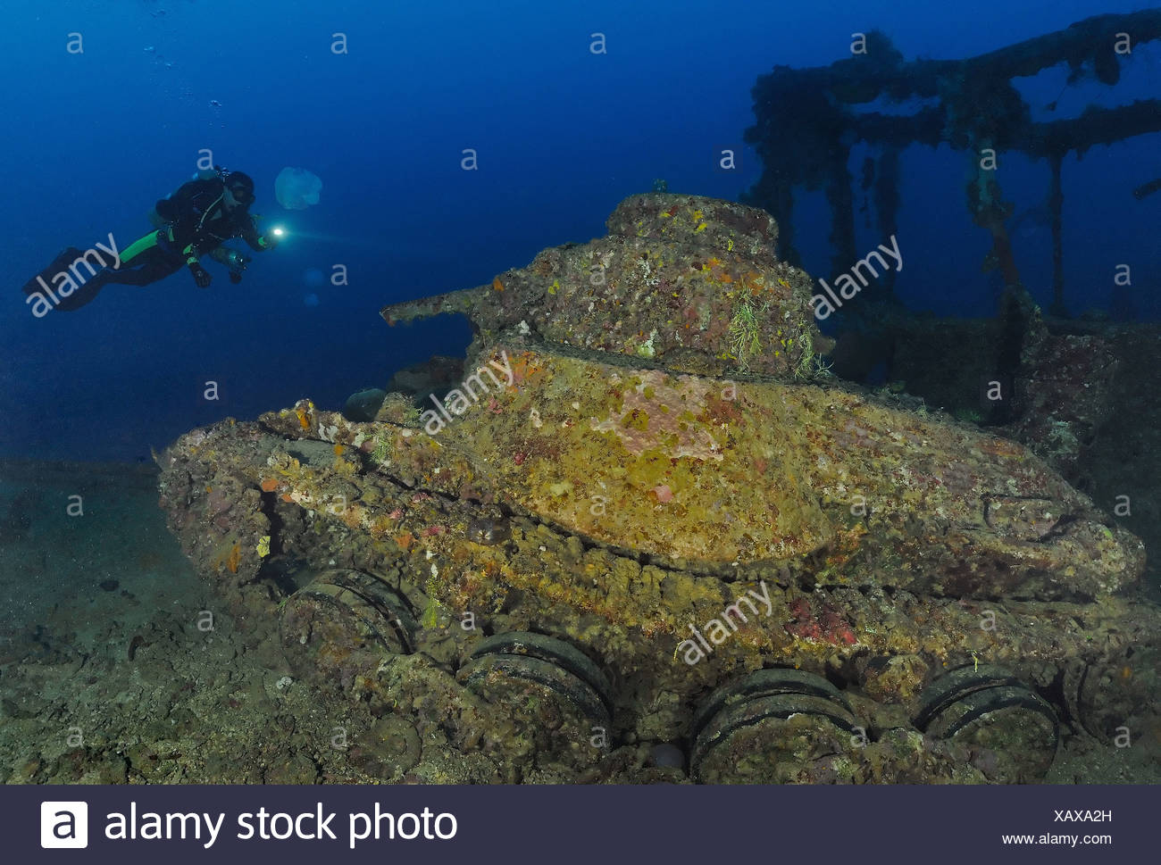 Human Remains On Shipwreck High Resolution Stock Photography and Images ...