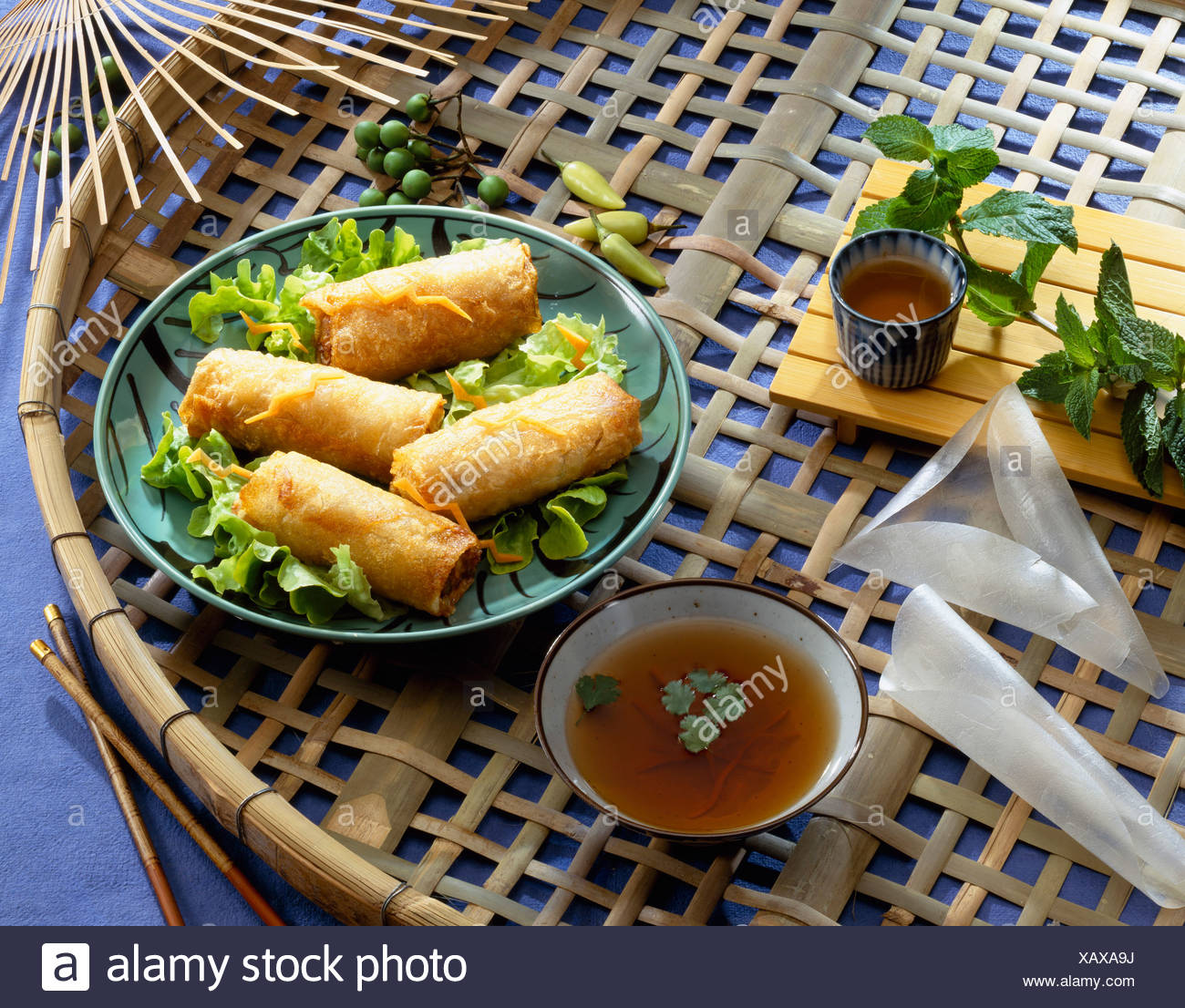Nems Stock Photos & Nems Stock Images - Alamy