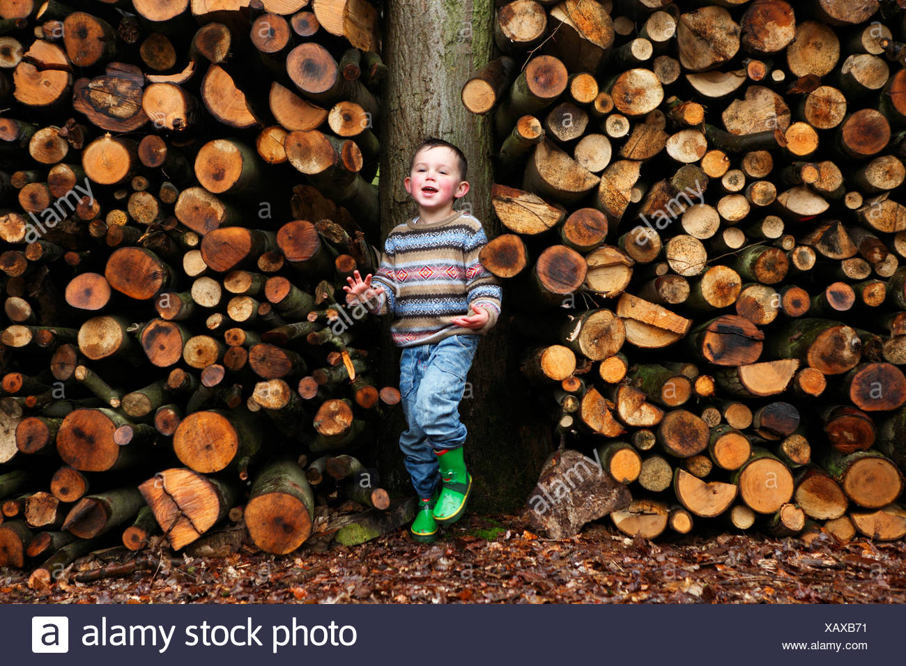 Horizontal Log High Resolution Stock Photography and Images - Alamy