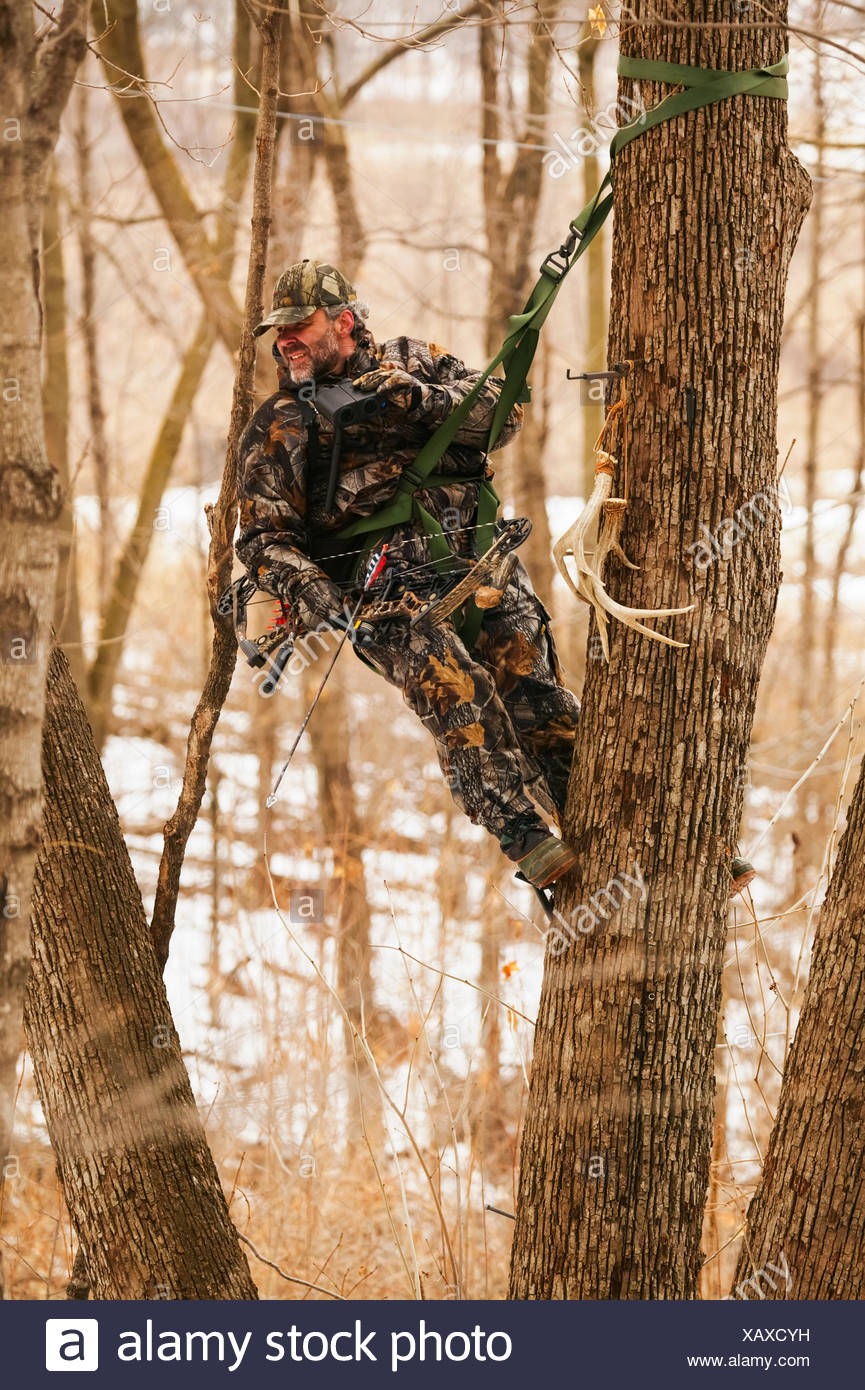 Bow Hunter Tree Stand Stock Photos & Bow Hunter Tree Stand Stock Images ...