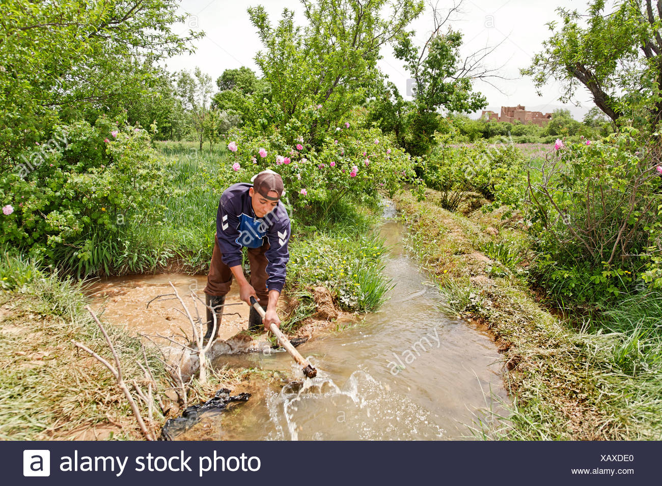 Men Digging Ditch High Resolution Stock Photography and Images - Alamy