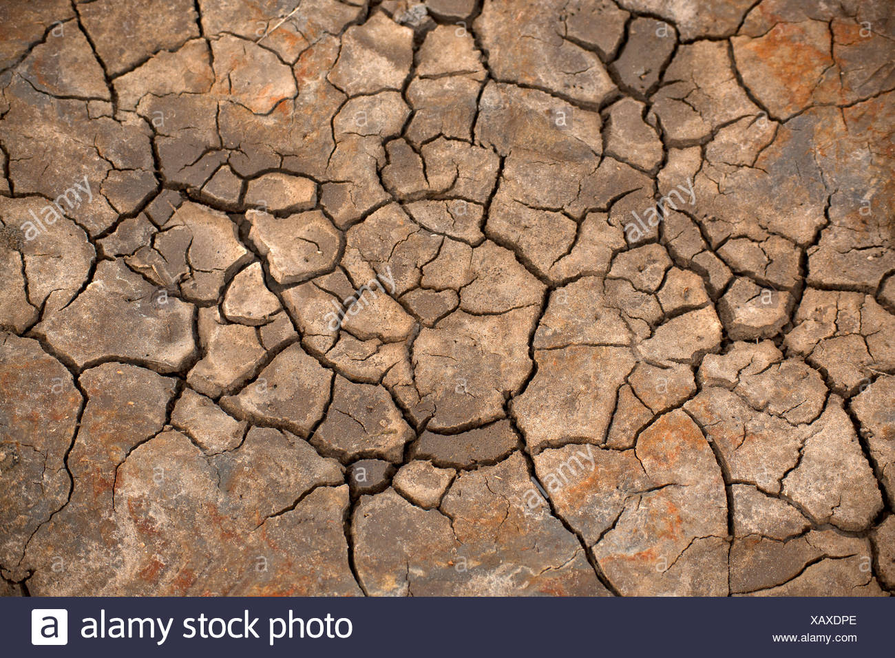 Loamy Soil Stock Photos & Loamy Soil Stock Images - Alamy