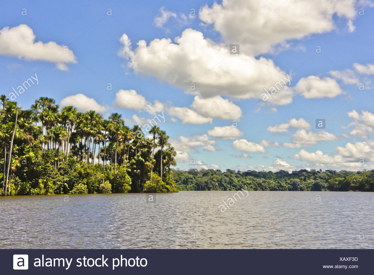 Amazon Basin Peru Stock Photos & Amazon Basin Peru Stock Images - Alamy