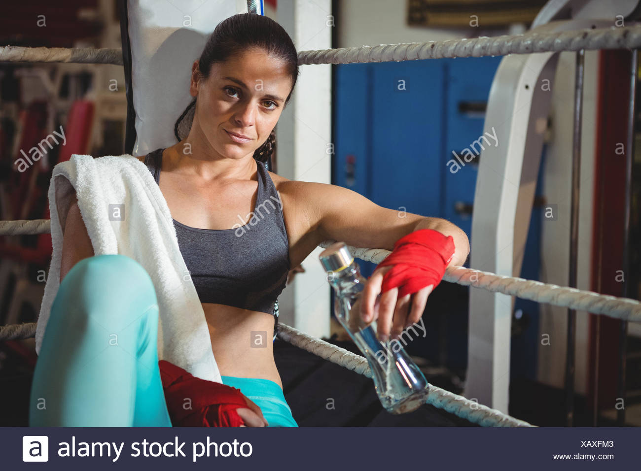 Exhausted Boxer High Resolution Stock Photography and Images - Alamy