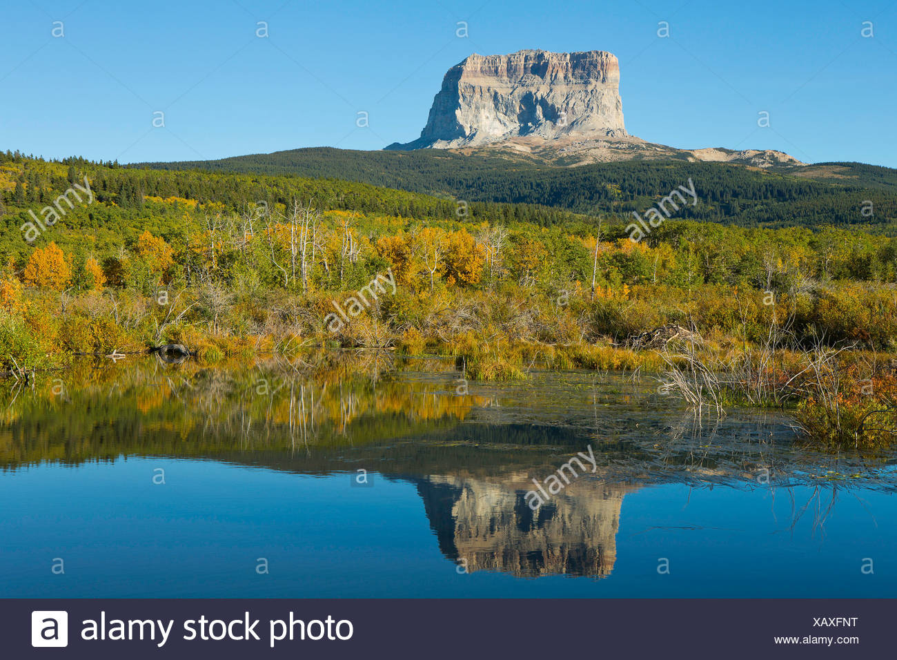Chief Mountain Glacier National Park High Resolution Stock Photography ...
