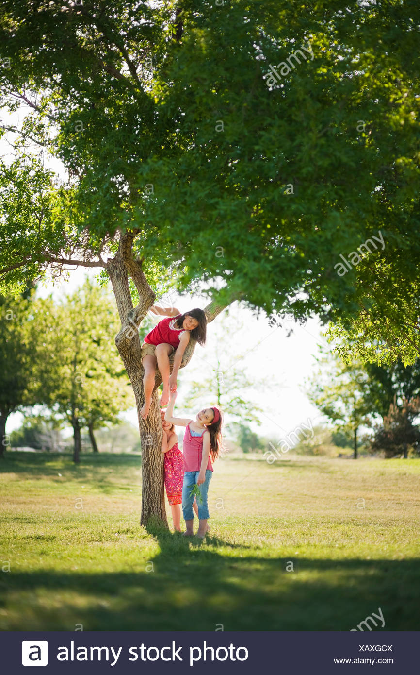 Group People Sitting Under Tree Stock Photos & Group People Sitting ...