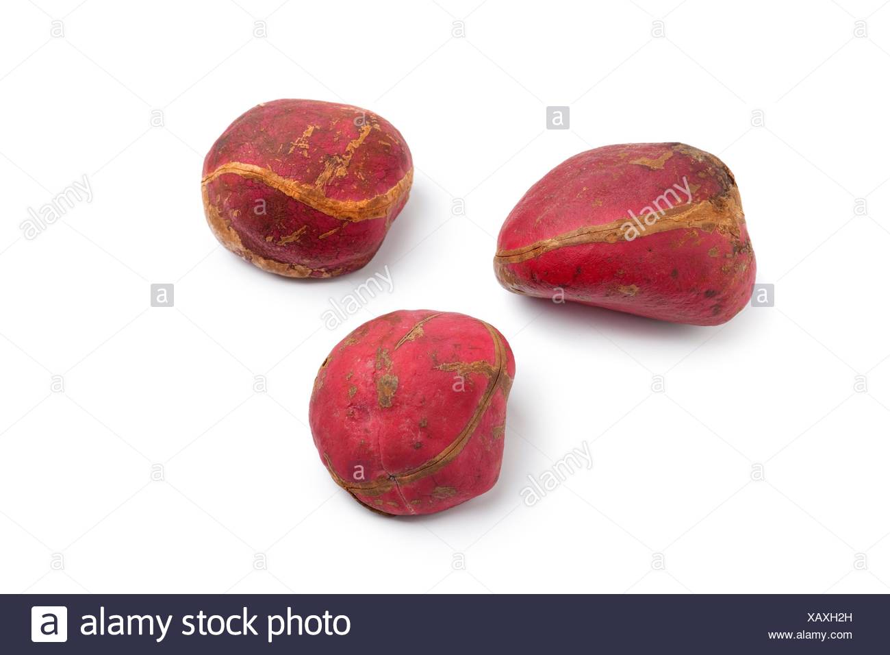Cola Nuts High Resolution Stock Photography and Images - Alamy
