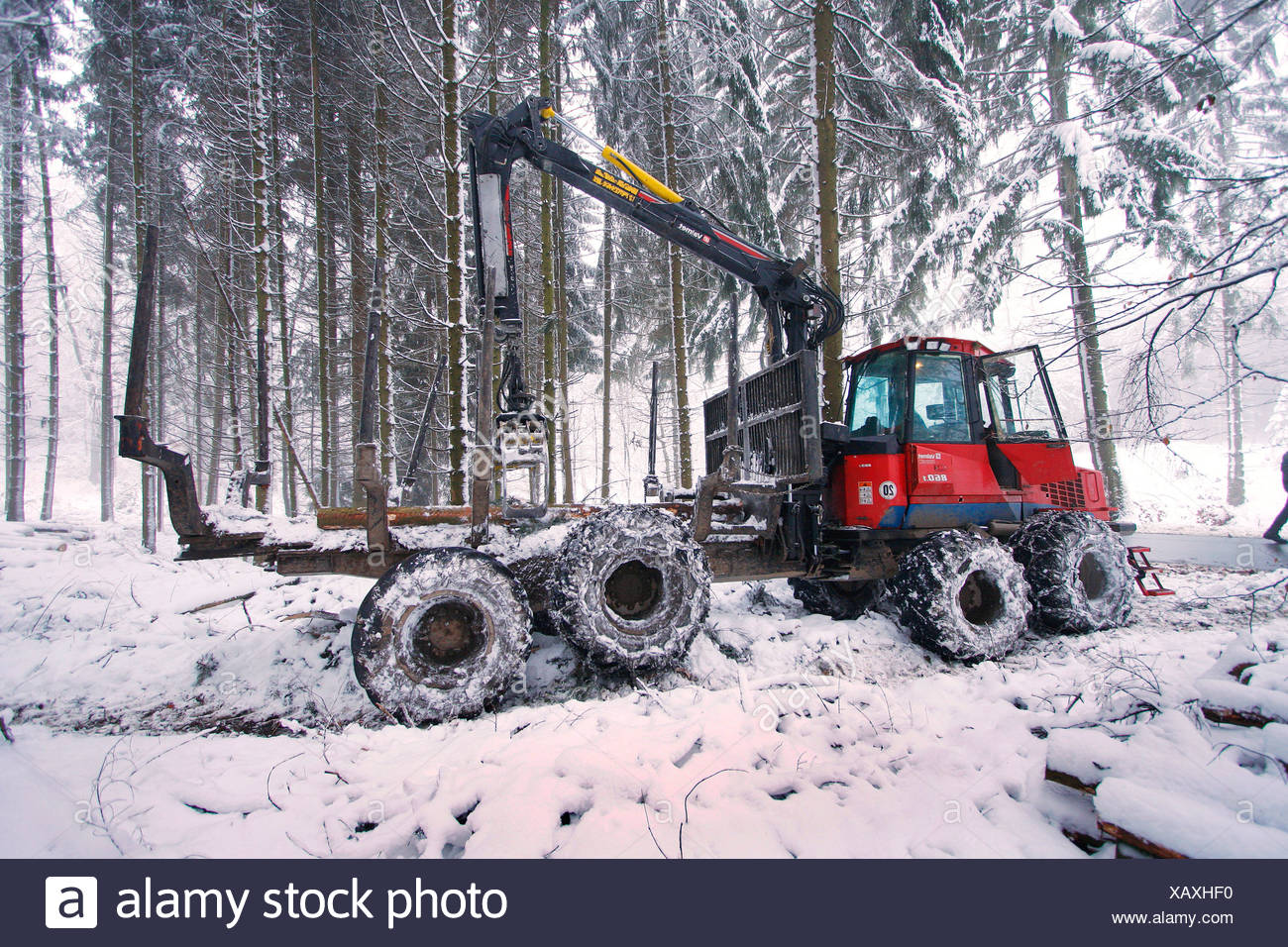 Timber Farming High Resolution Stock Photography and Images - Alamy