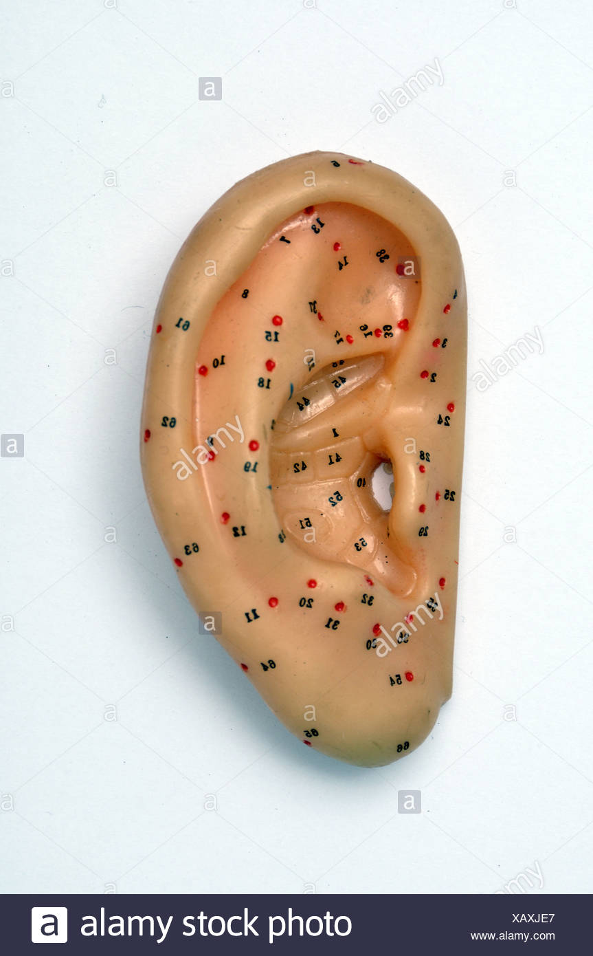 Ear Acupuncture High Resolution Stock Photography and Images - Alamy
