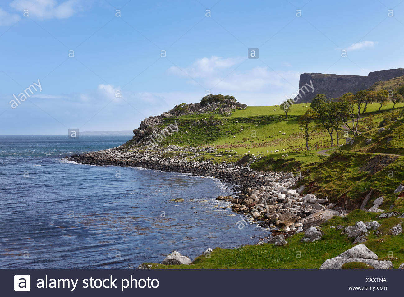 Murlough Bay High Resolution Stock Photography and Images - Alamy