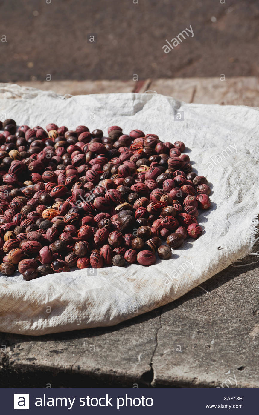 Nutmeg Seeds High Resolution Stock Photography and Images - Alamy
