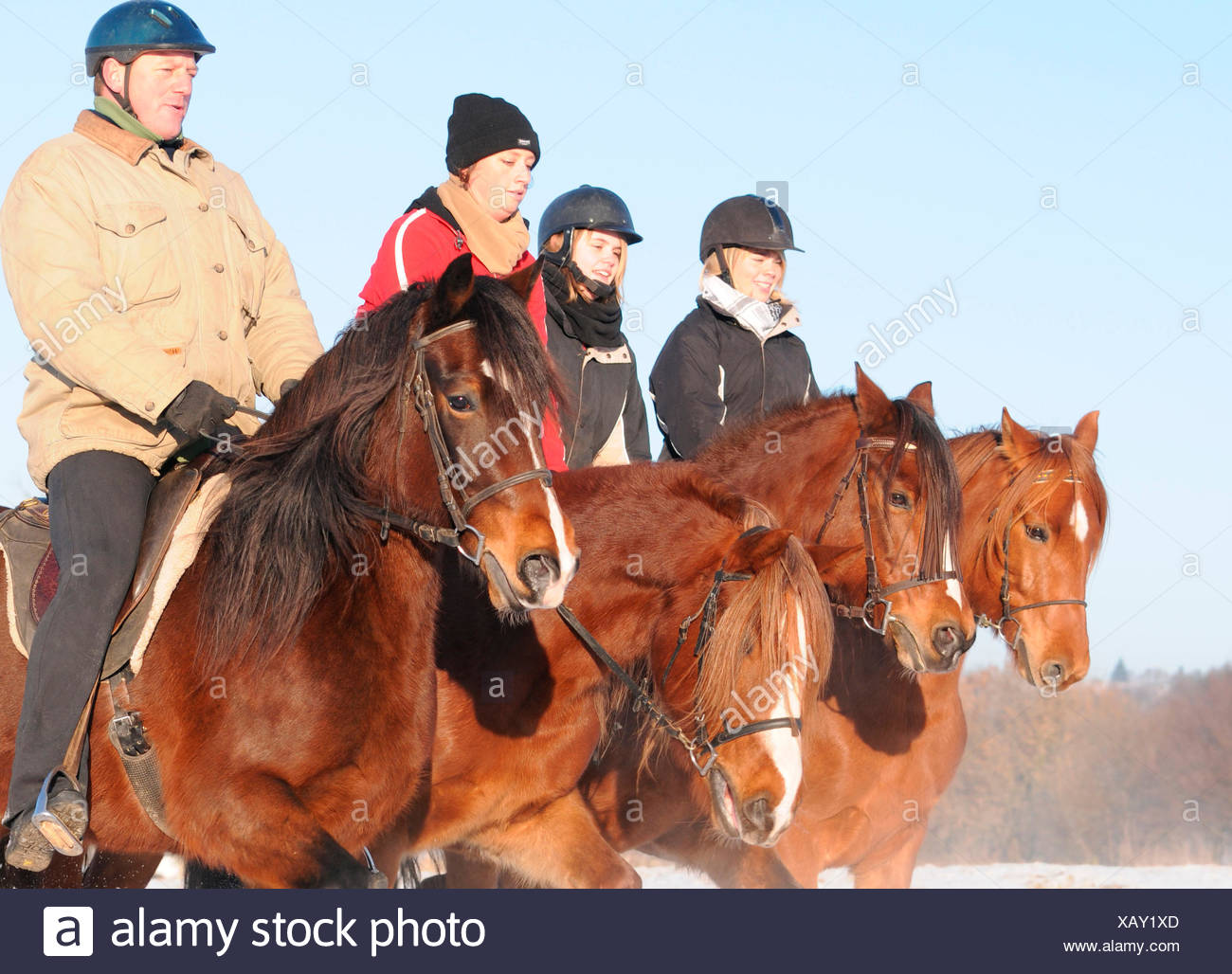 Welsh Walking Trail High Resolution Stock Photography and Images - Alamy