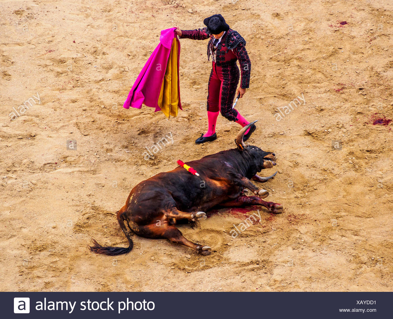 Walks Arena High Resolution Stock Photography and Images - Alamy