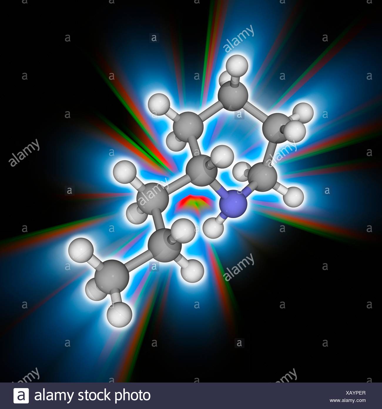 Coniine High Resolution Stock Photography and Images - Alamy