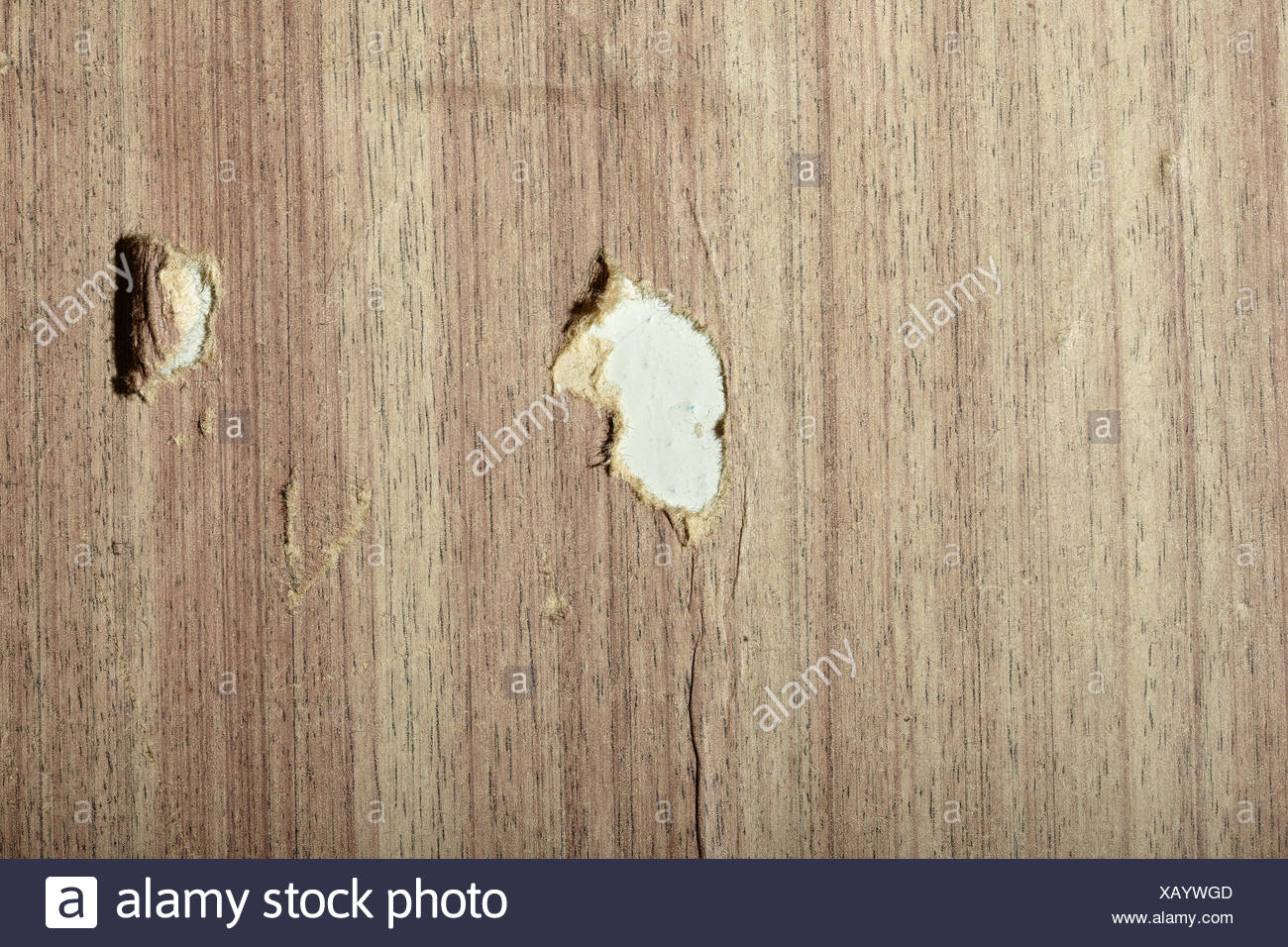 Torn Grain Wood Plank High Resolution Stock Photography and Images - Alamy