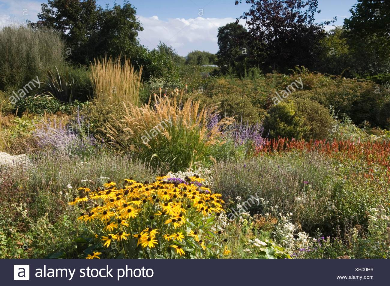 Prairie Style Planting High Resolution Stock Photography and Images - Alamy