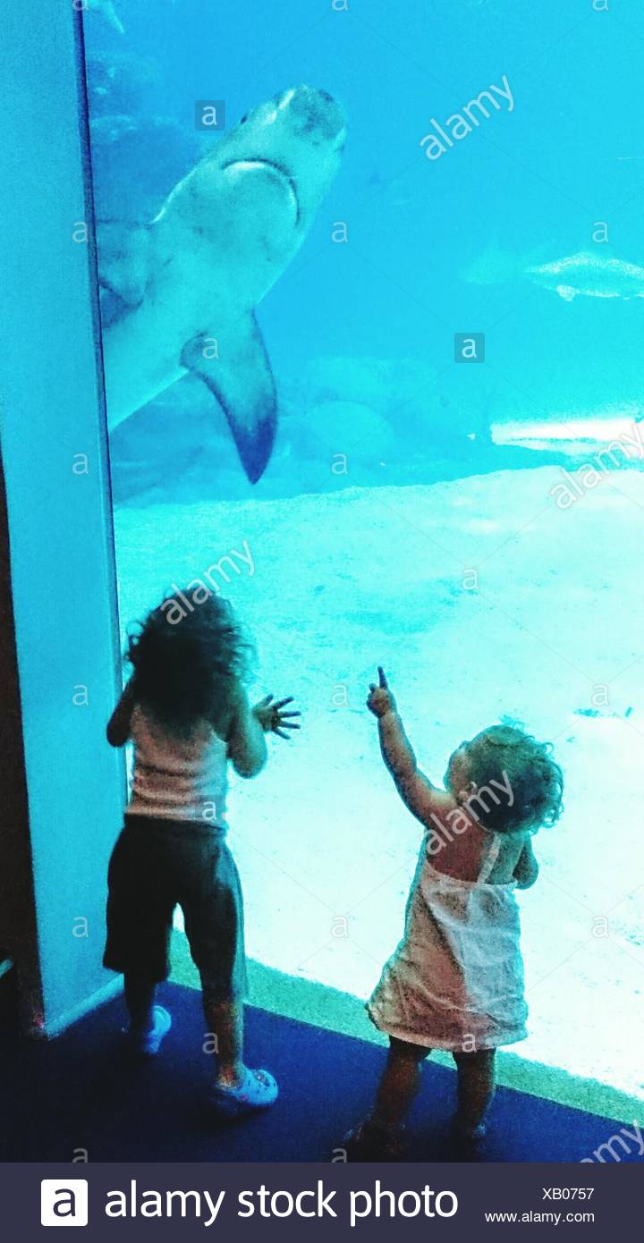 Girl In Aquarium High Resolution Stock Photography and Images - Alamy