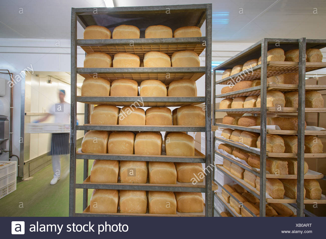 Shelf Row High Resolution Stock Photography and Images - Alamy