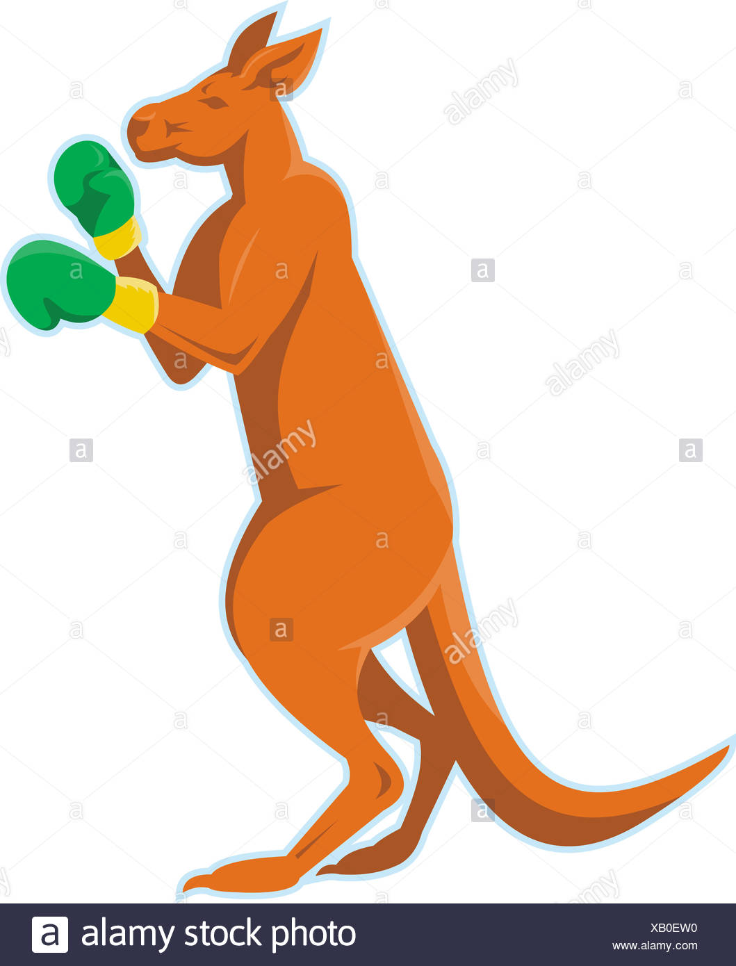 Boxing Kangaroo High Resolution Stock Photography and Images - Alamy