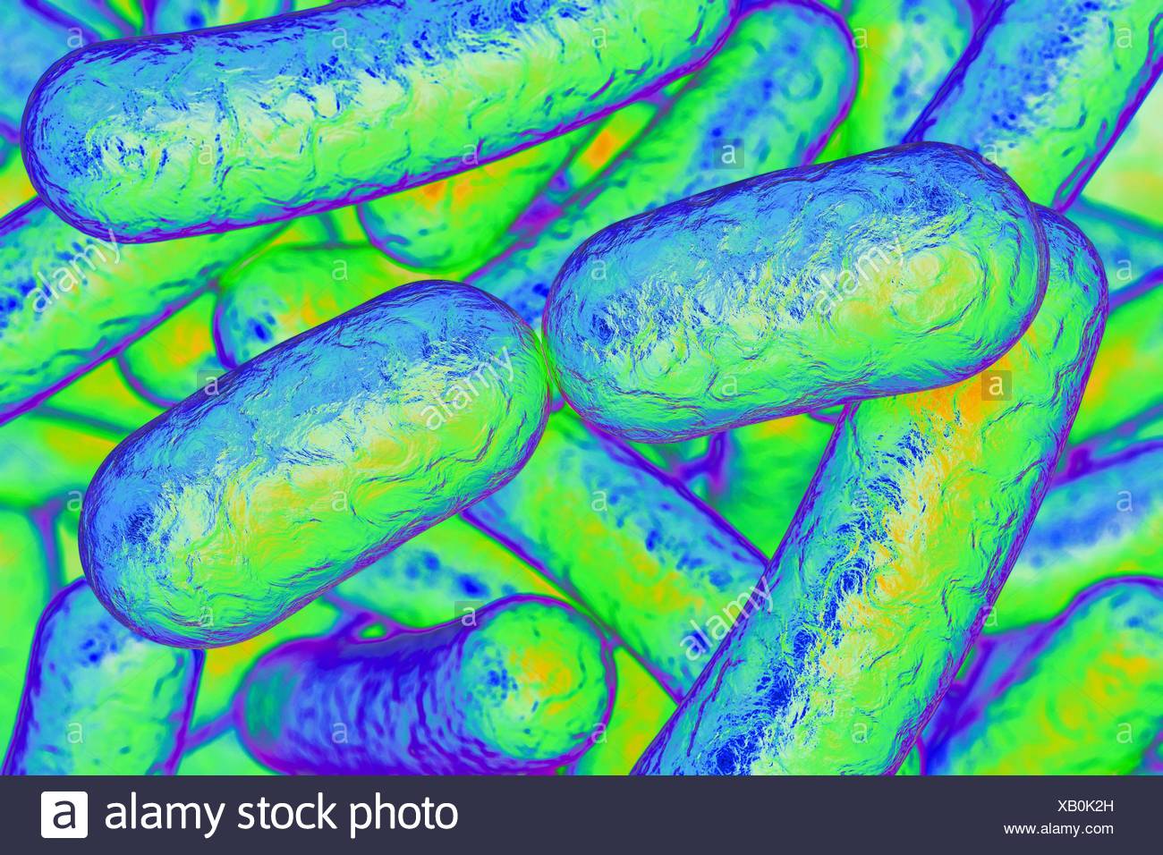 Citrobacter High Resolution Stock Photography and Images - Alamy