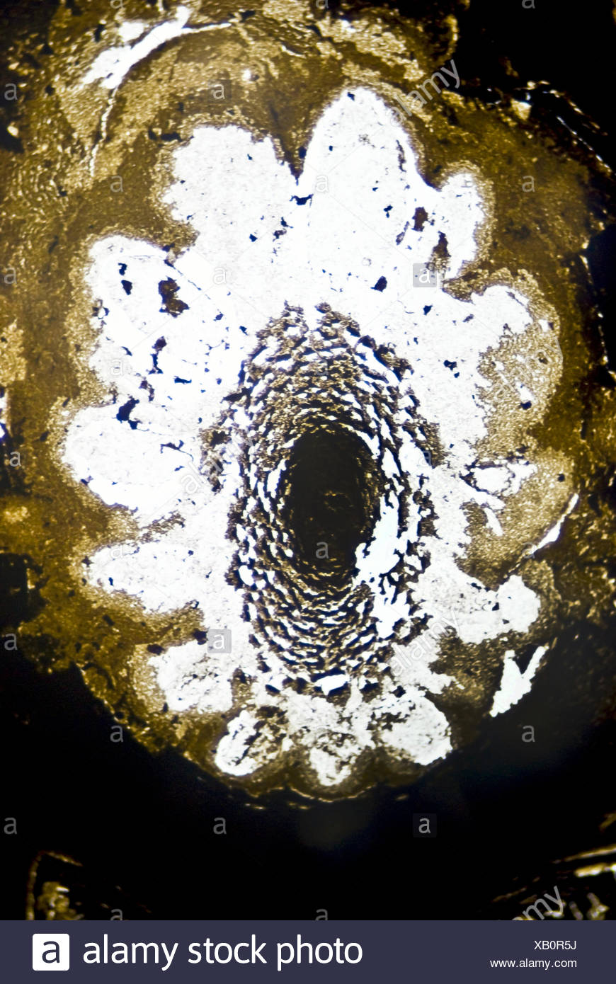 Soot Particles High Resolution Stock Photography and Images - Alamy