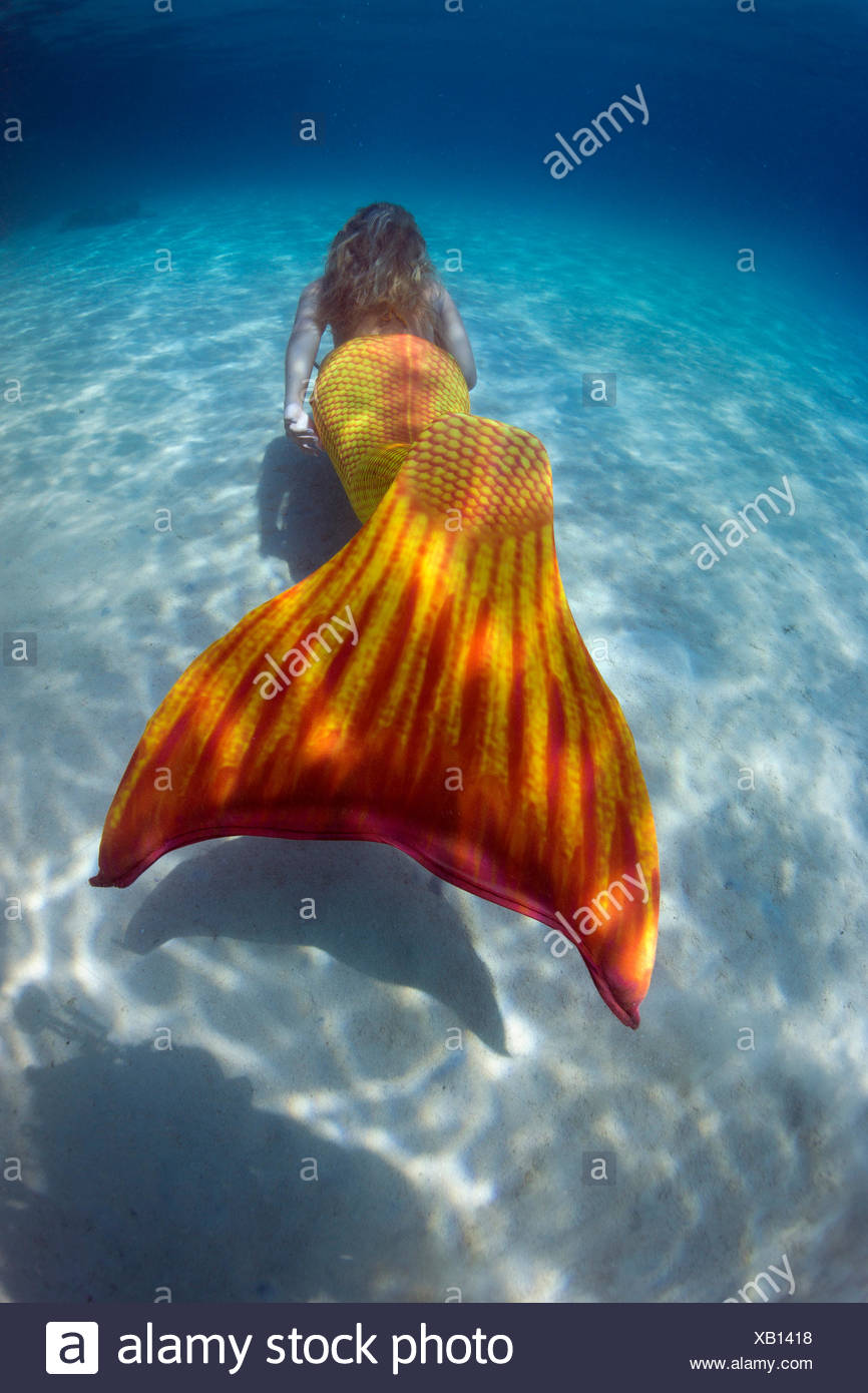 Diver Mermaid High Resolution Stock Photography and Images - Alamy