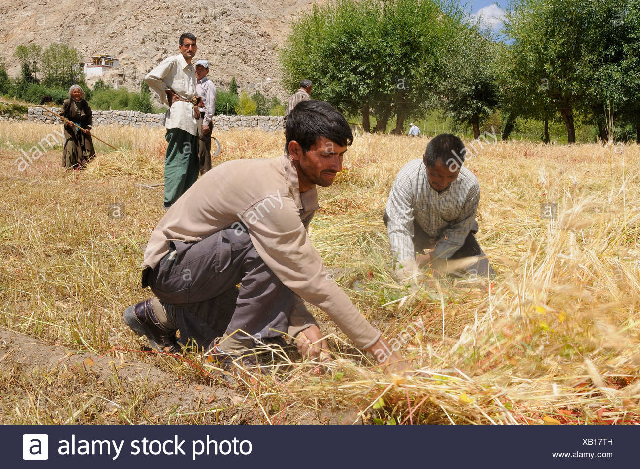 Ladakhis High Resolution Stock Photography and Images - Alamy