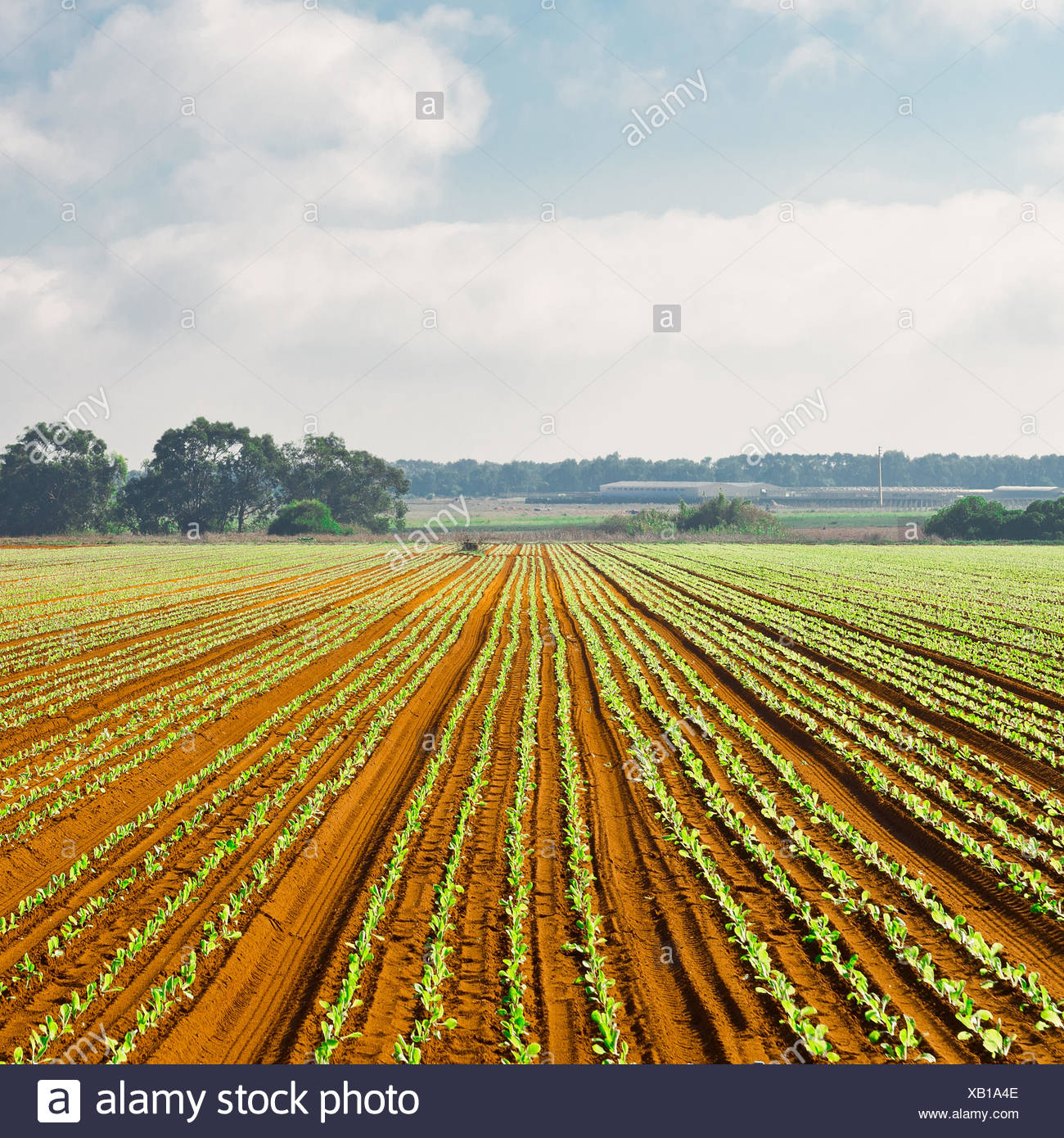 Tractor Farm Field Portugal High Resolution Stock Photography and ...