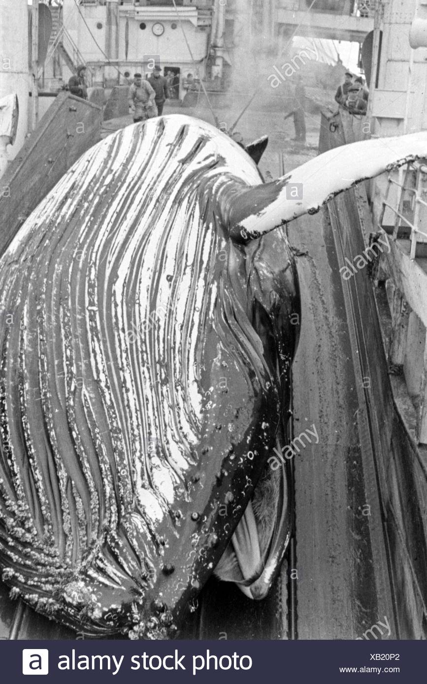 Walter Rau Walfang Ag High Resolution Stock Photography and Images - Alamy