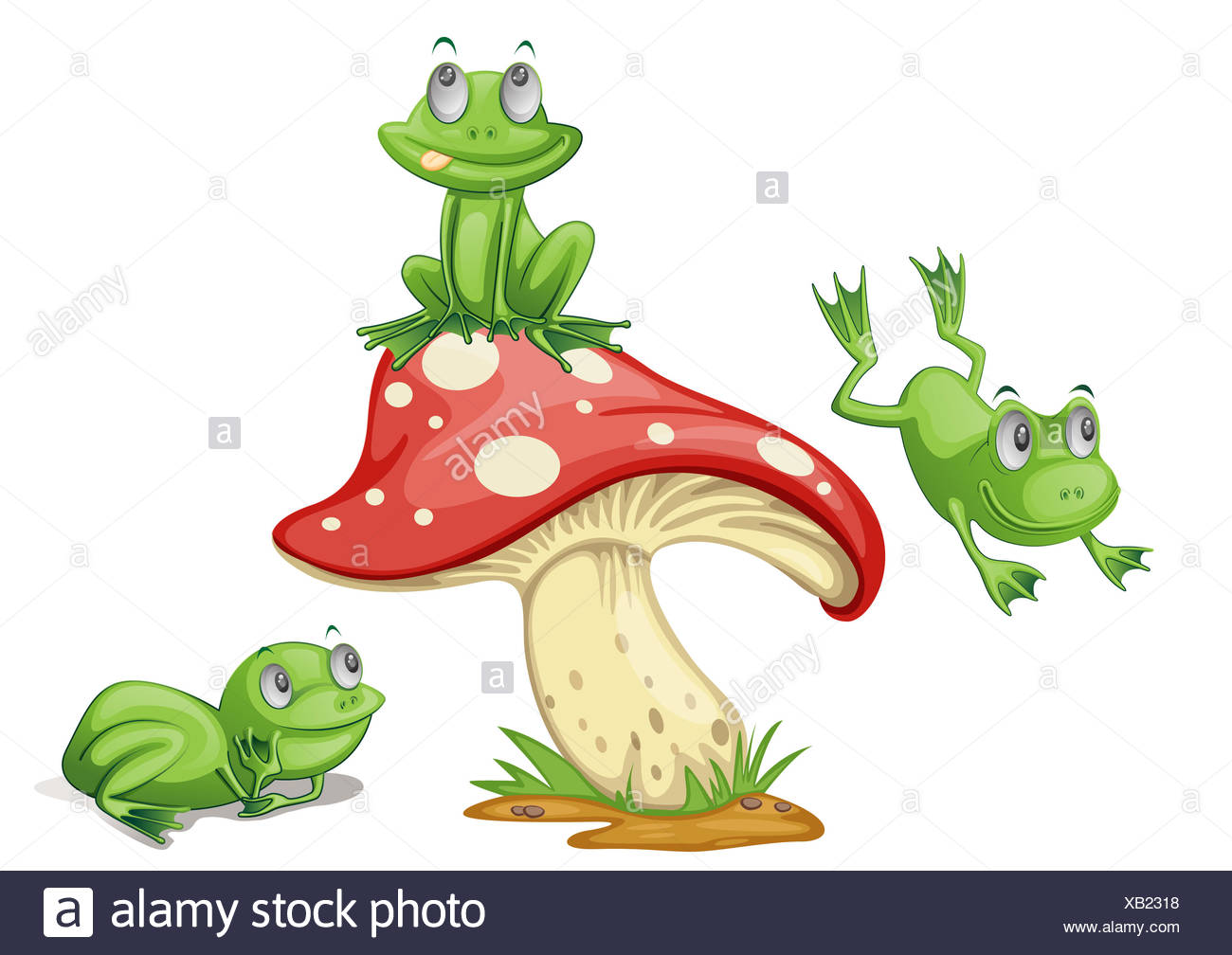 Toadstool Frog Stock Photos & Toadstool Frog Stock Images - Alamy