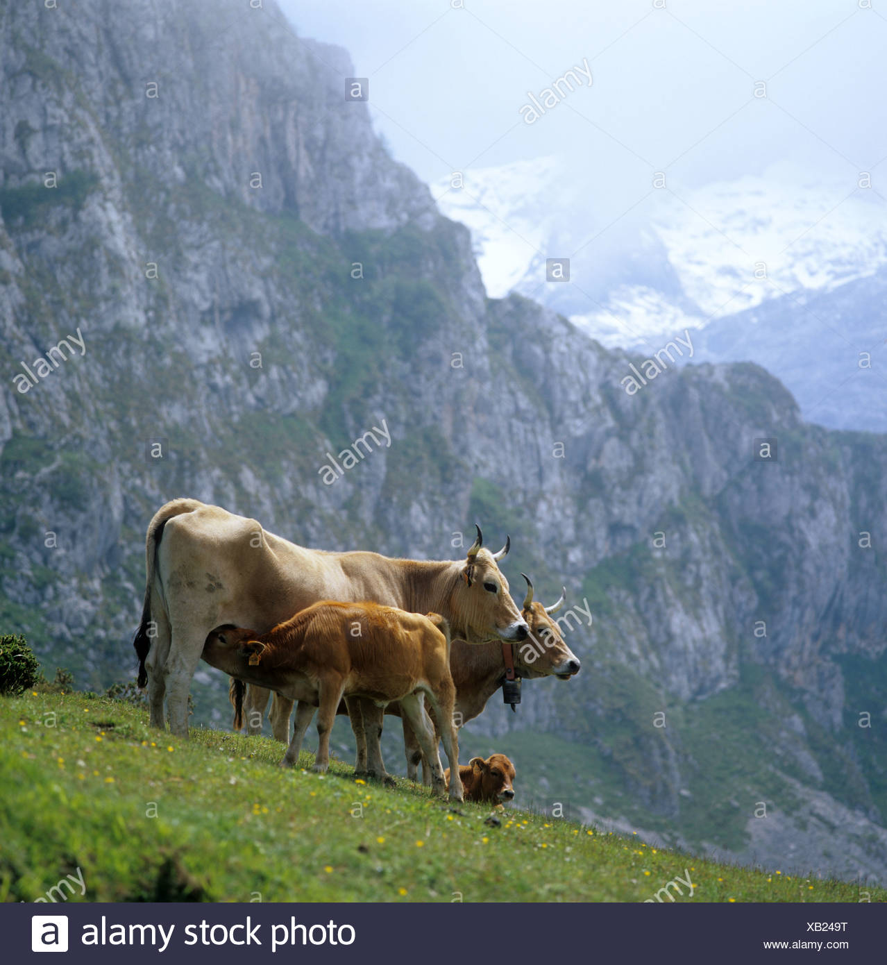 Lago De Ercina High Resolution Stock Photography and Images - Alamy