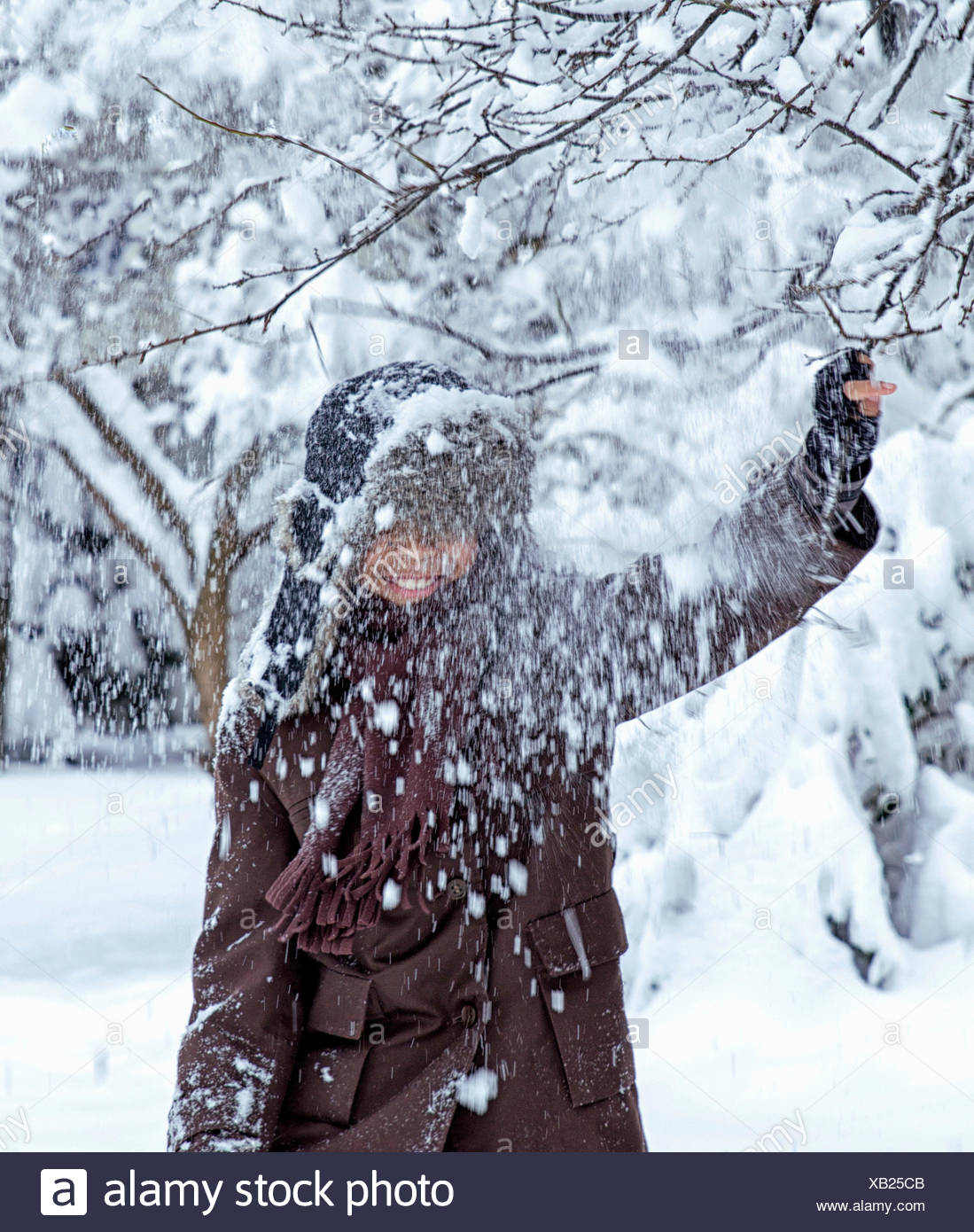 Tree Shaking High Resolution Stock Photography and Images - Alamy
