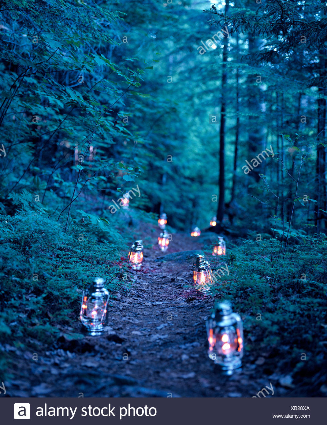 Trail Through A Forest High Resolution Stock Photography and Images - Alamy