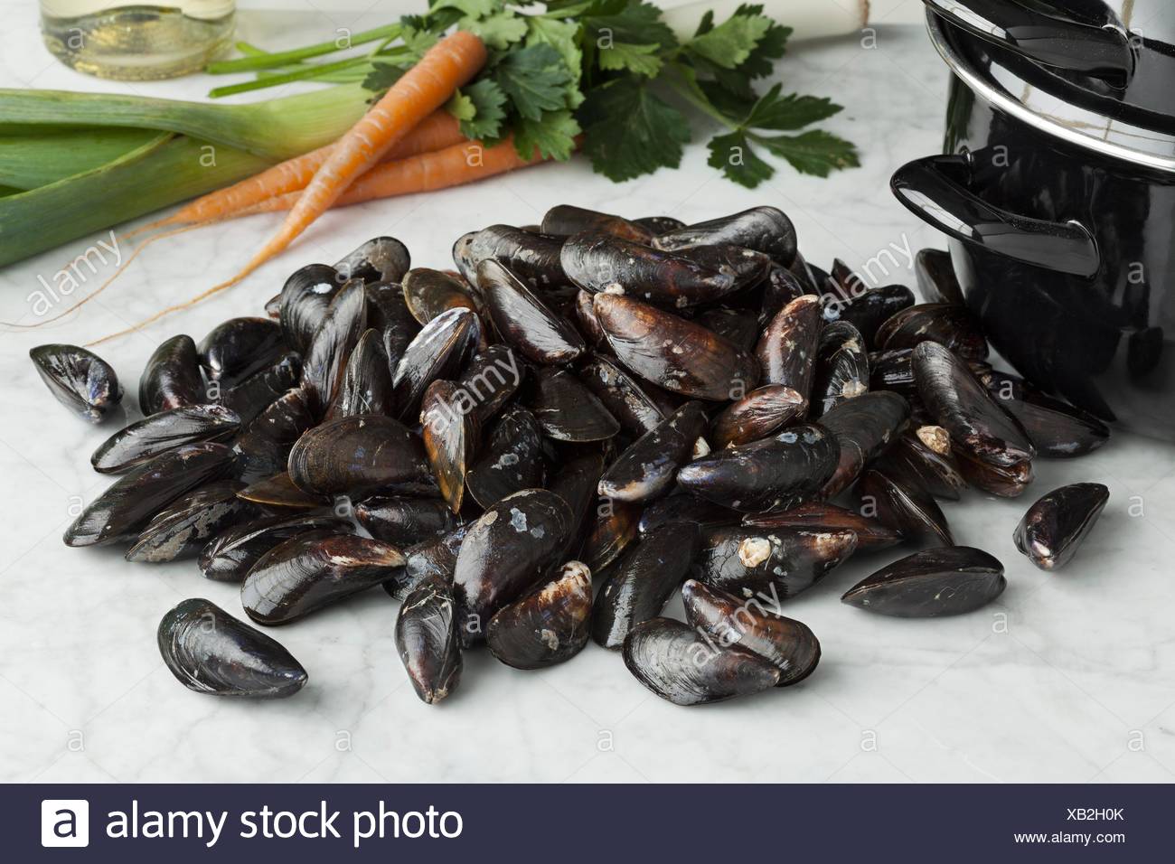 Common Mussels High Resolution Stock Photography and Images - Alamy