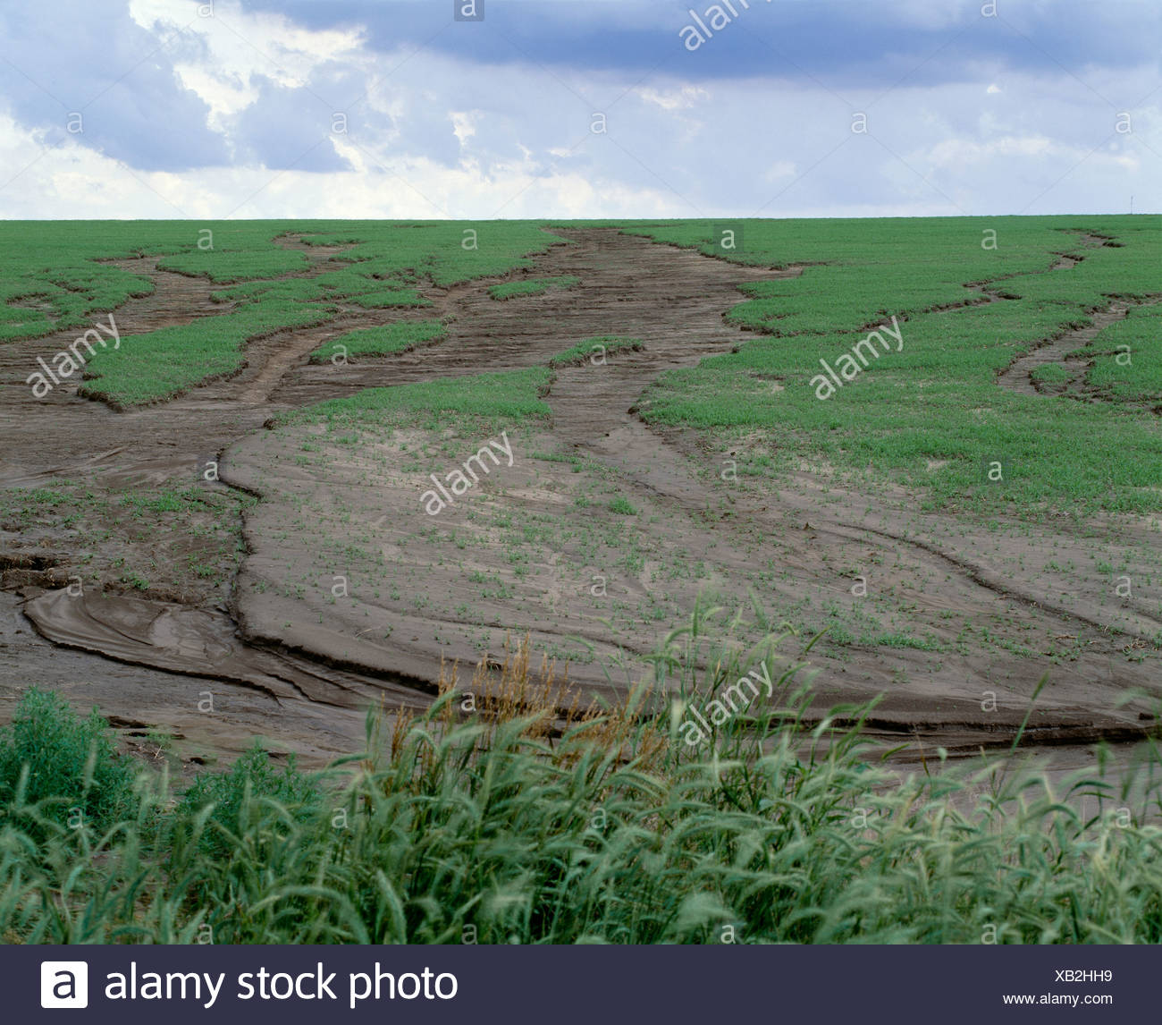 Sheet Erosion Examples