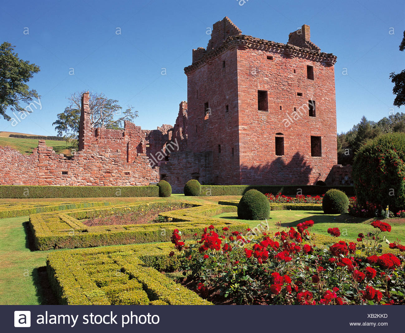 Edzell Castle Gardens High Resolution Stock Photography and Images - Alamy