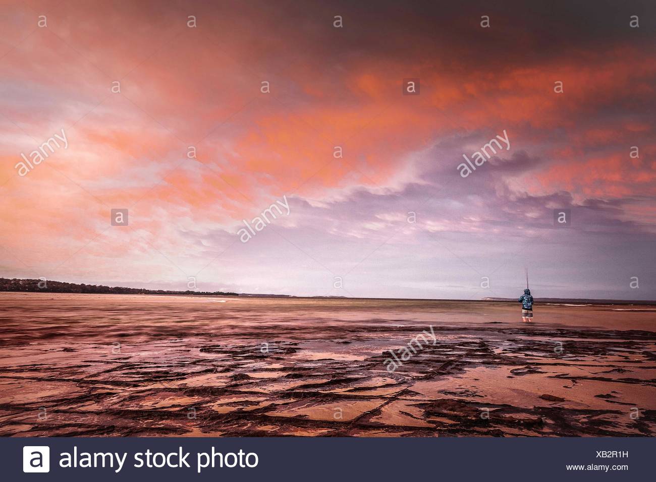 Huskisson High Resolution Stock Photography and Images - Alamy