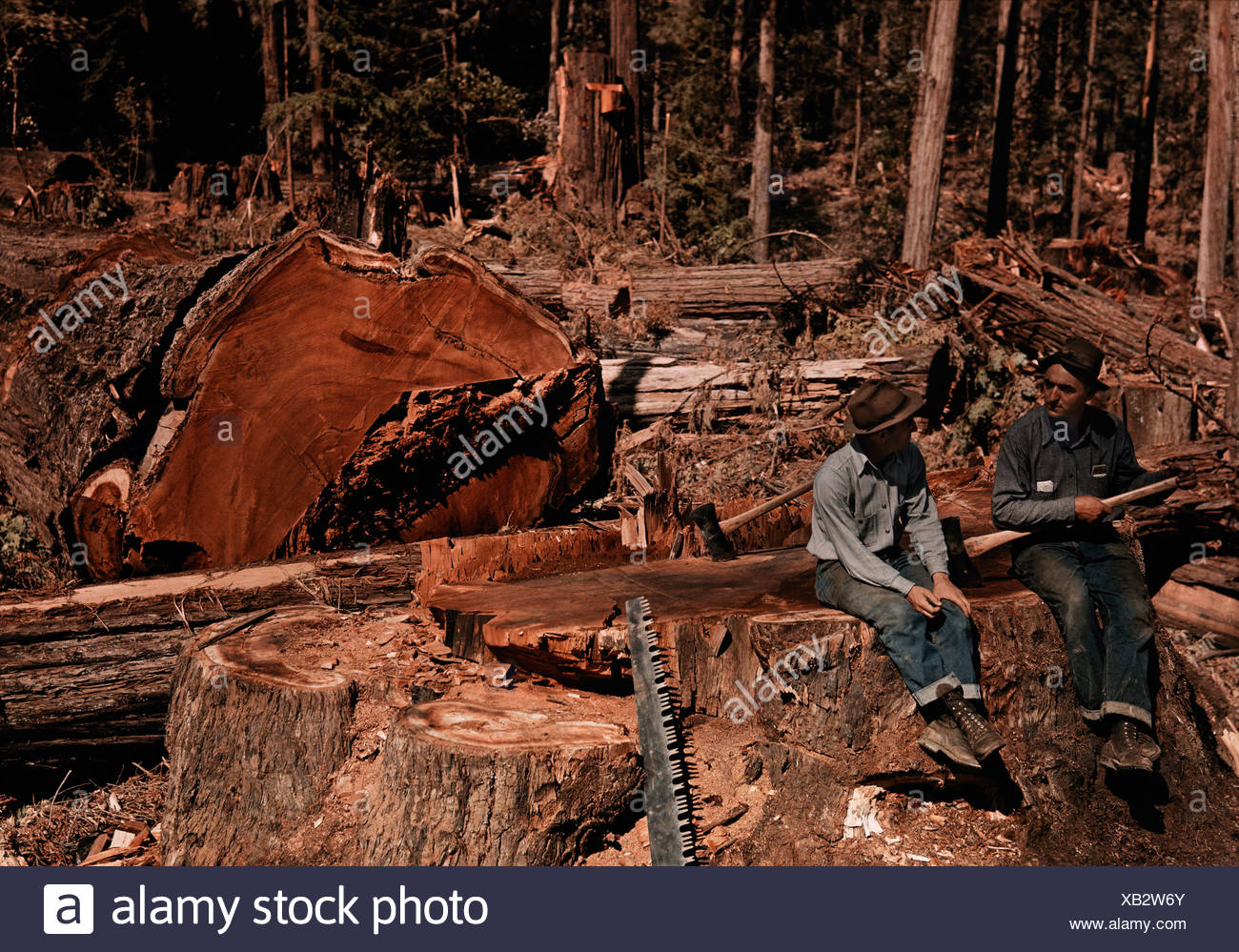 Lumbermen Stock Photos & Lumbermen Stock Images - Alamy