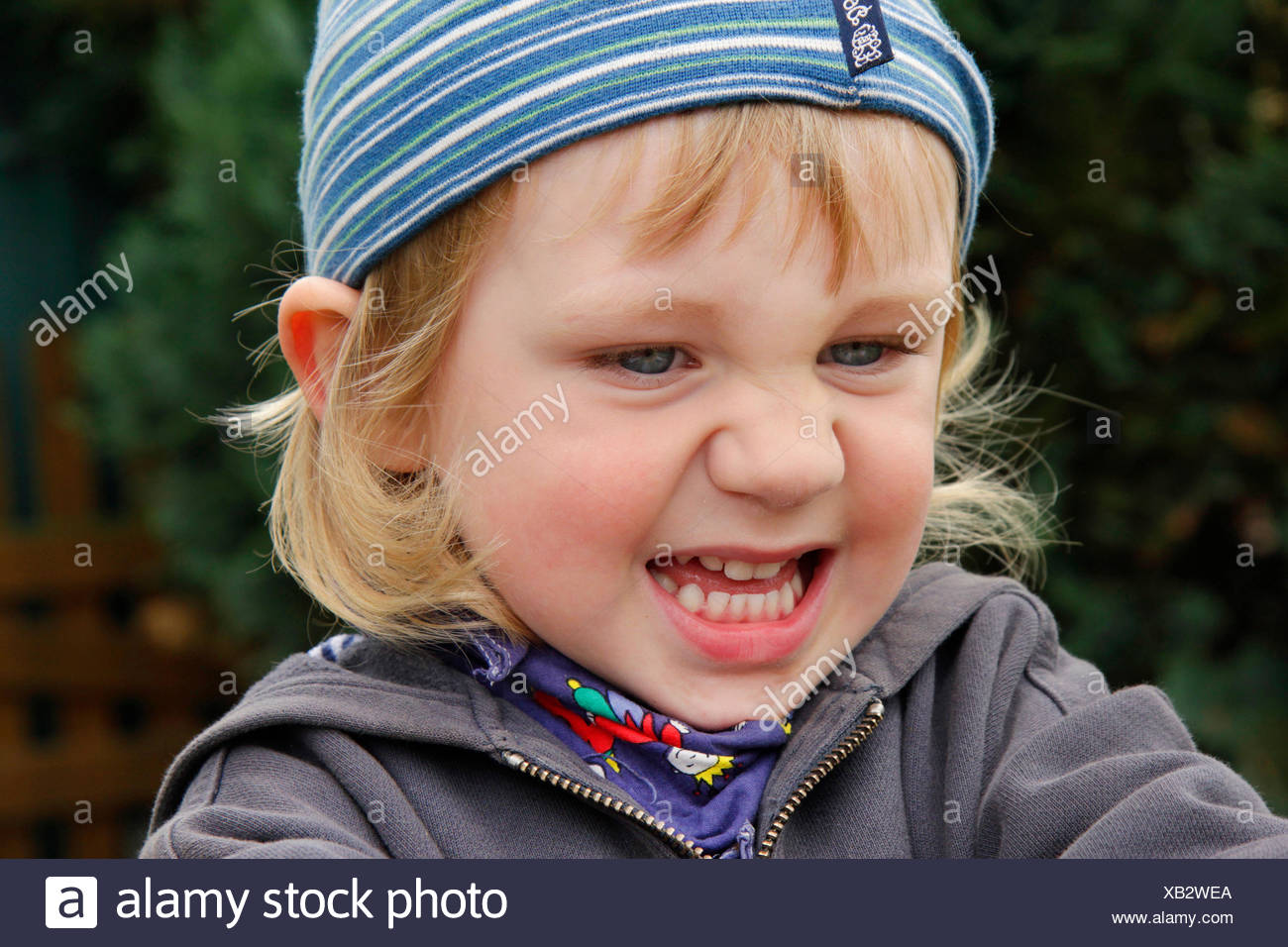 Mr Furious High Resolution Stock Photography and Images - Alamy