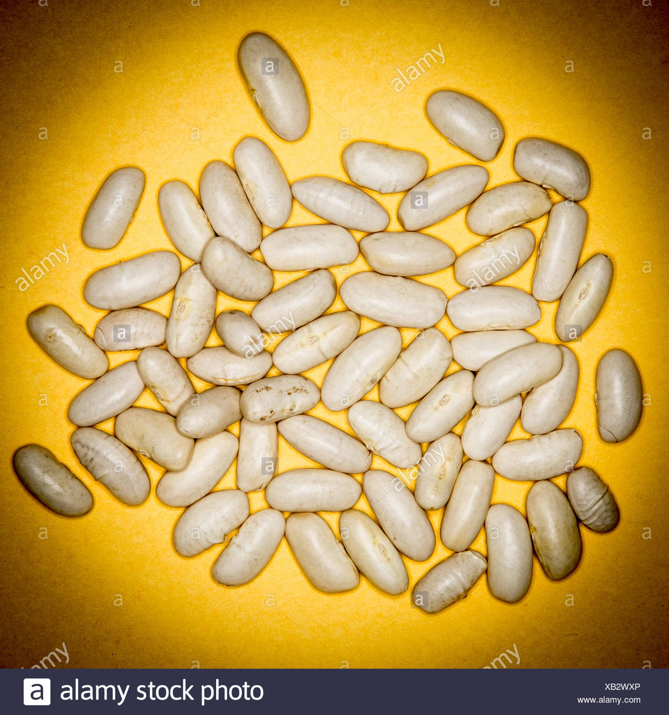 Flageolet High Resolution Stock Photography and Images - Alamy