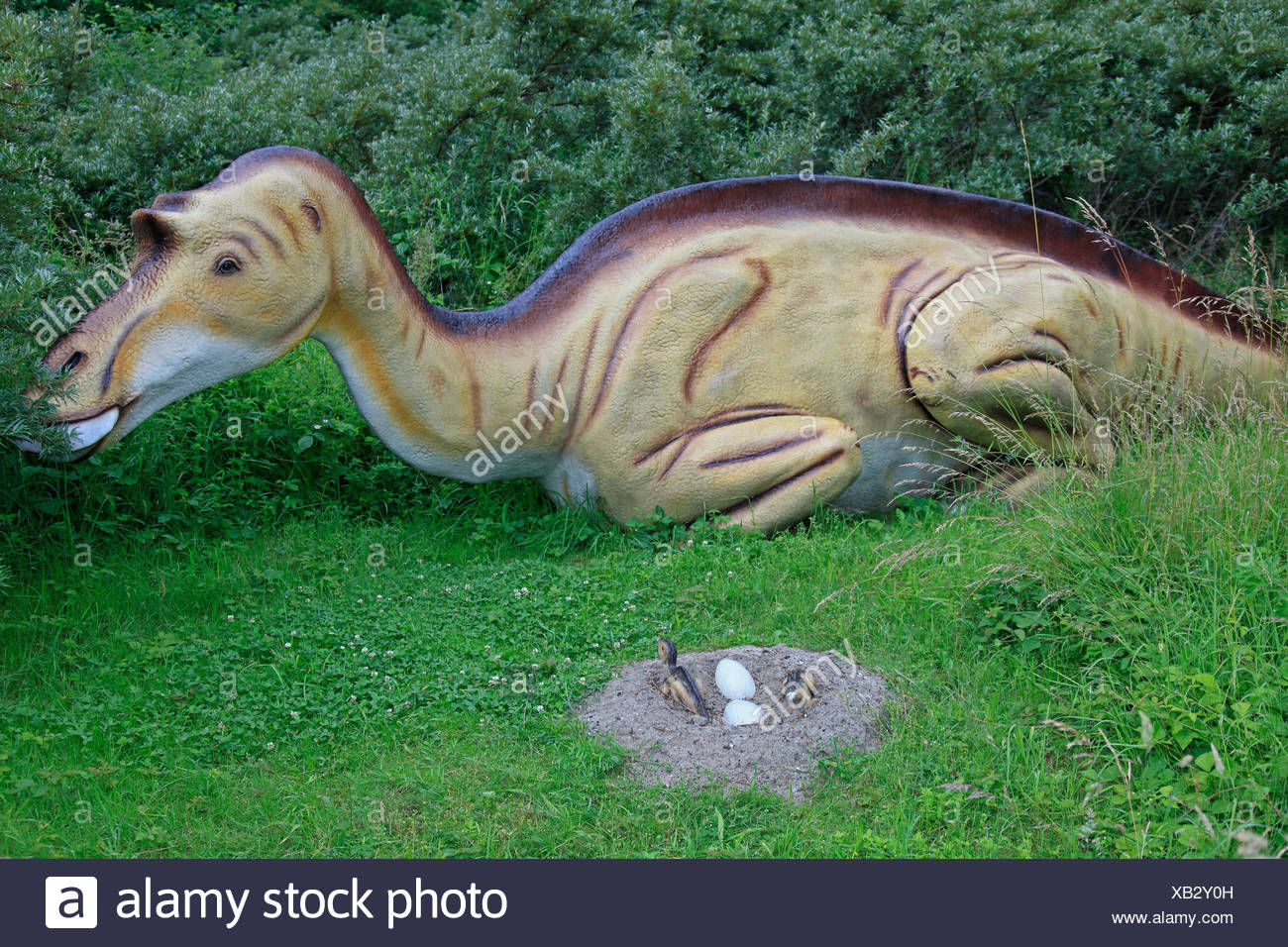 Anatosaurus High Resolution Stock Photography and Images - Alamy